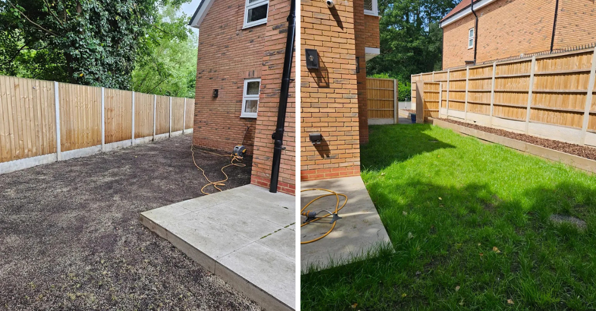 How to Restore Your Damaged Lawn? - greenviewlandscaping